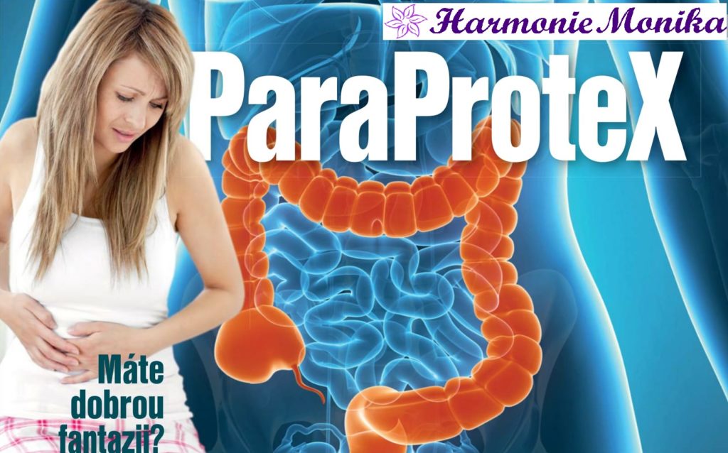 Para Protex | Harmonie Monika