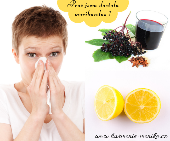 Jak jsem dostala moribundus? | Harmonie Monika